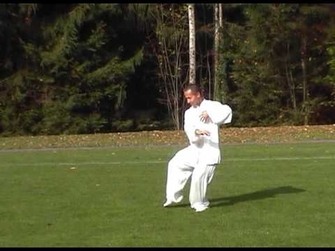 Tai Chi Yang Style 16 Form