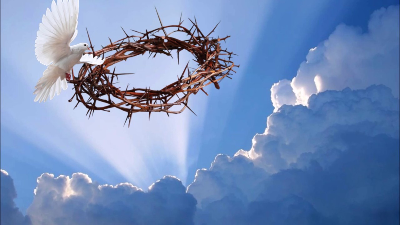 Jesus the One and Only - YouTube