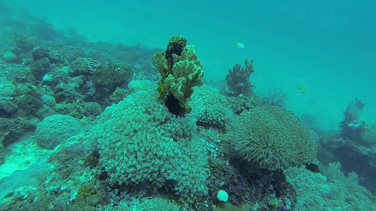 Diving Alcoy with Dive Funatics - YouTube