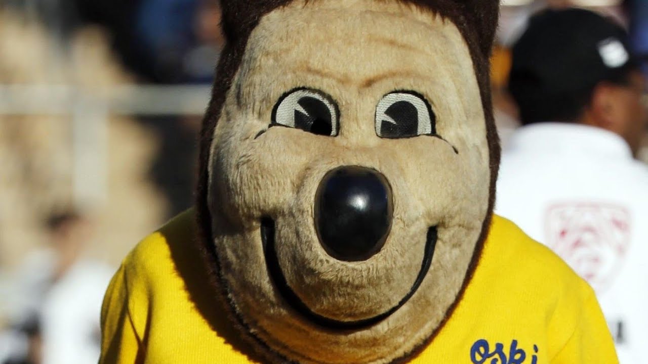 Skylanders Imaginators Creating oski from the university of California ...