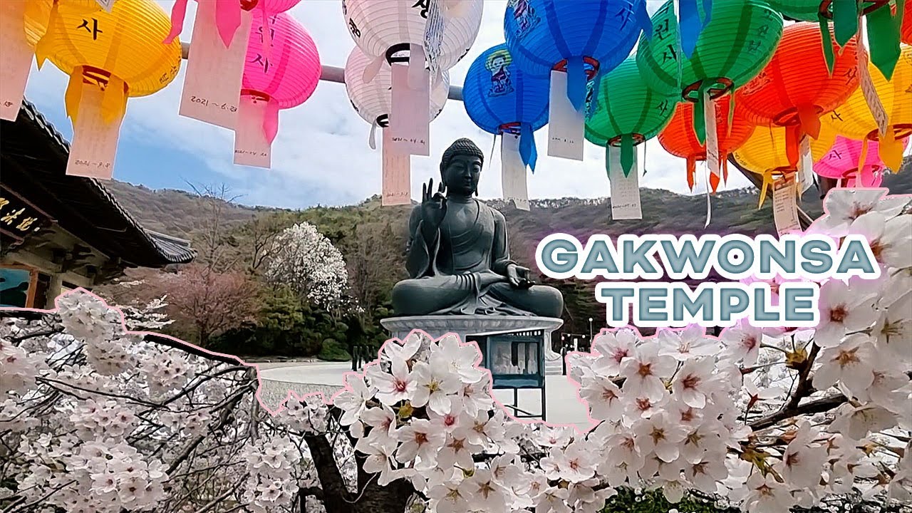 Gakwonsa Temple in Cheonan 🌸 Spring in South Korea - YouTube