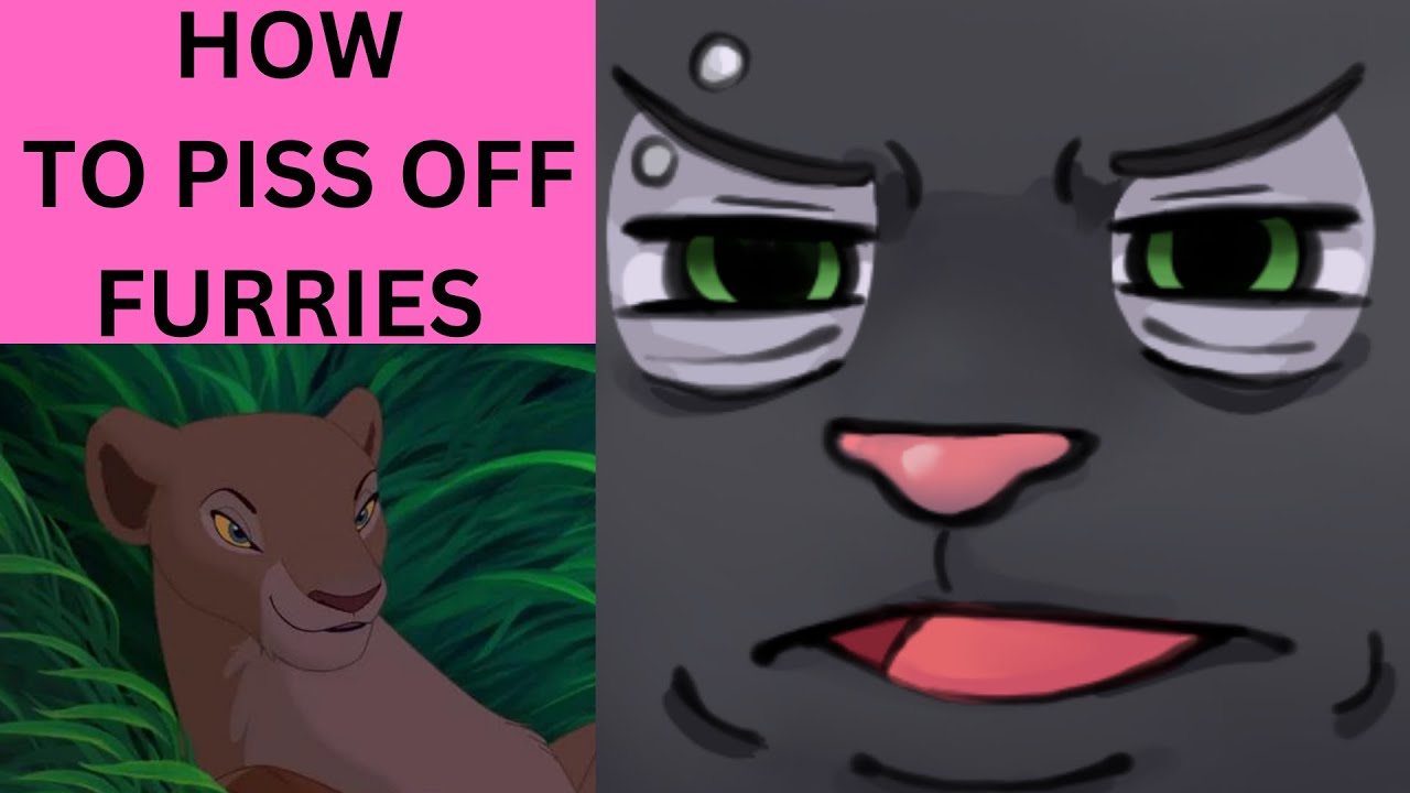 "How to piss off half the furry community" - YouTube