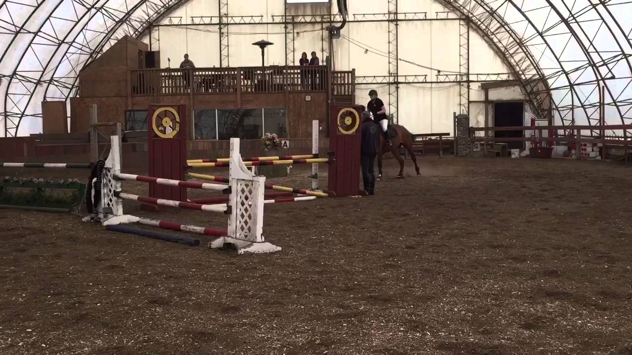 Cimarron- For Sale- Day 3 at the Frank Selinger Jumper Clinic .90M ...