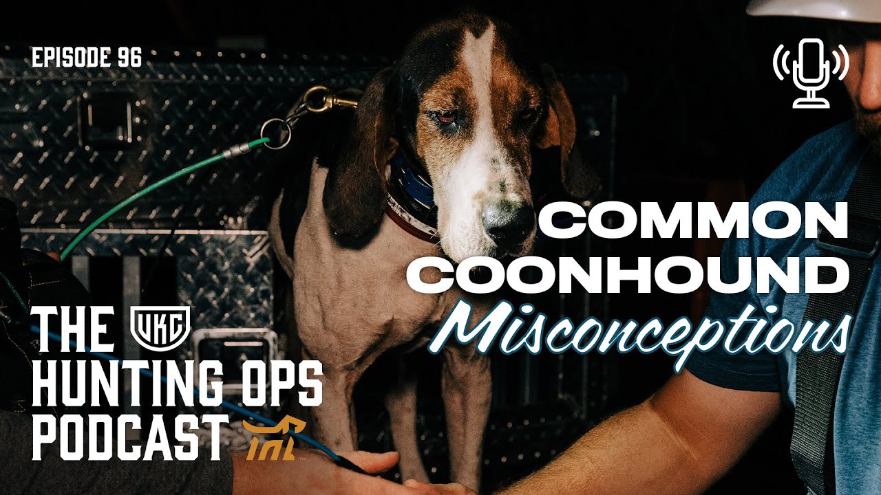 UKC Hunting Ops Podcast Ep. 96 - Common Coonhound Misconceptions - YouTube