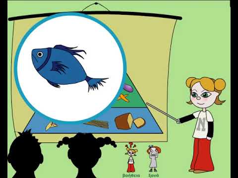 Η ΠΥΡΑΜΙΔΑ ΤΩΝ ΤΡΟΦΩΝ - YouTube