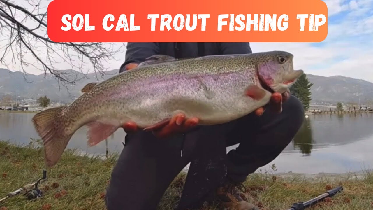 Sol Cal Trout Fishing ( Beginning Trout Fishing Tips. ) #howto - YouTube