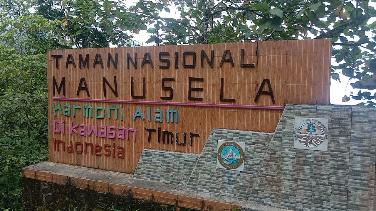 Taman Nasional Manusela di Pulau Seram, Provinsi Maluku - YouTube