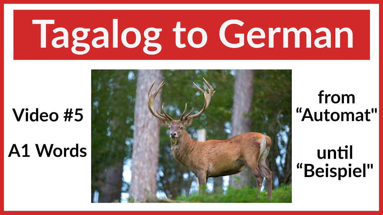 Tagalog to German - Video #05 / A1 Words / from "Automat" until ...