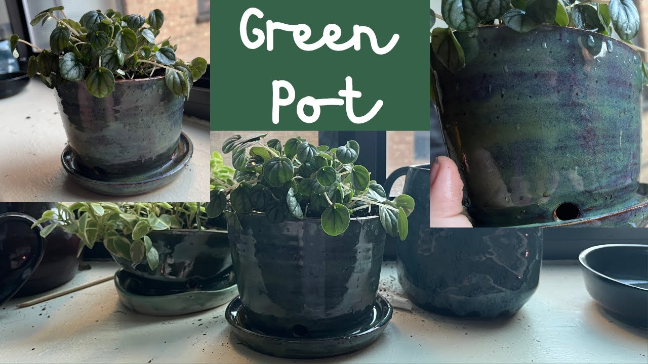 Making a Little Green Pot for a Plant with Little Green Leaves ...