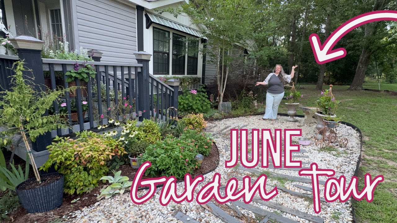 June Garden Tour (Rose of Sharon, Fan Flower, Cone Flower, Begonia ...