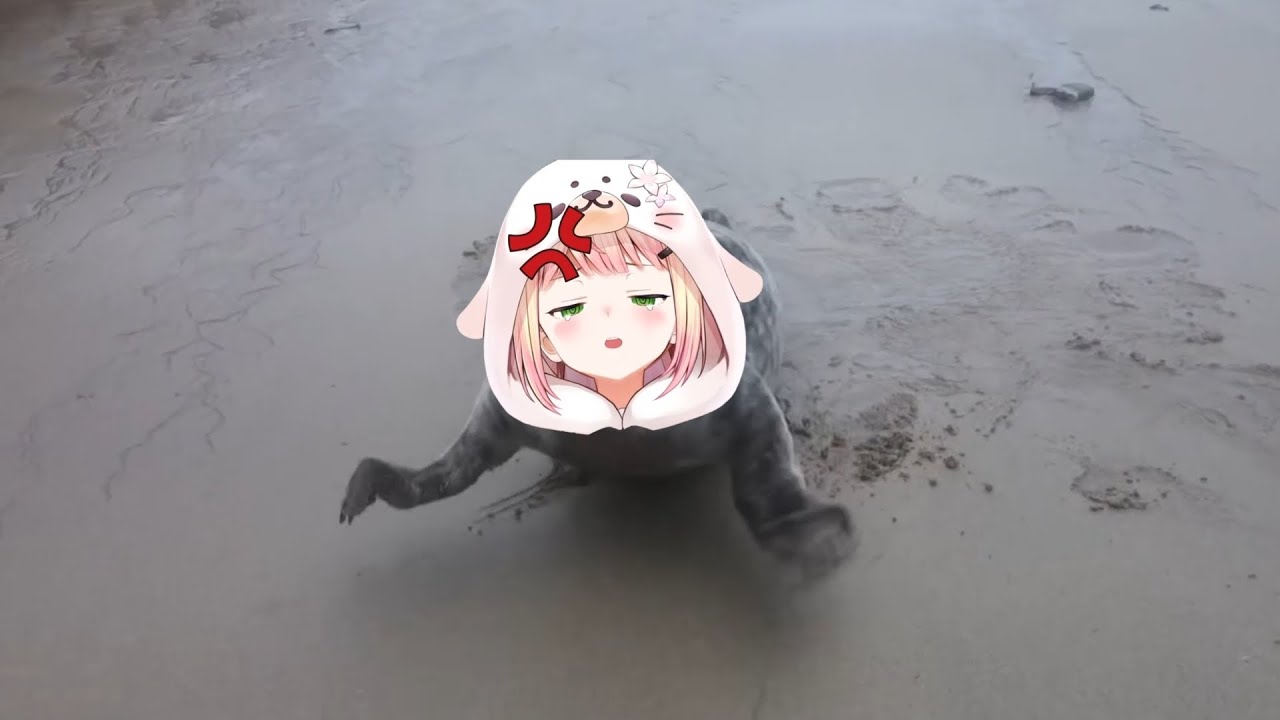 Seal Nene being angry | Animal hololive - YouTube