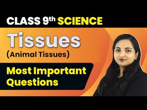Animal Tissues | Tissues Class 9 Most Important Questions | Tissues ...