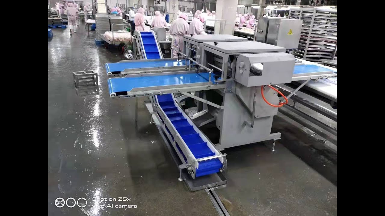 Chicken Breast Peeling Machine Chicken Skin Remover Chicken Cleaning ...