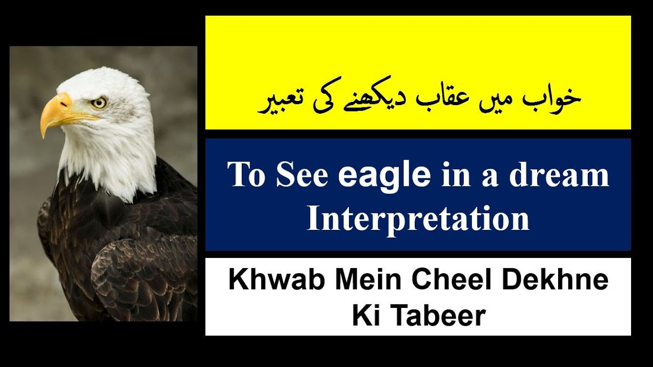 Khwab Mein Uqab Dekhna Ki Tabeer | خواب میں عقاب دیکھنا | Eagle In ...
