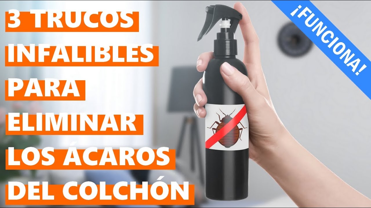 Cómo eliminar los ácaros del colchón rápido y fácil - YouTube