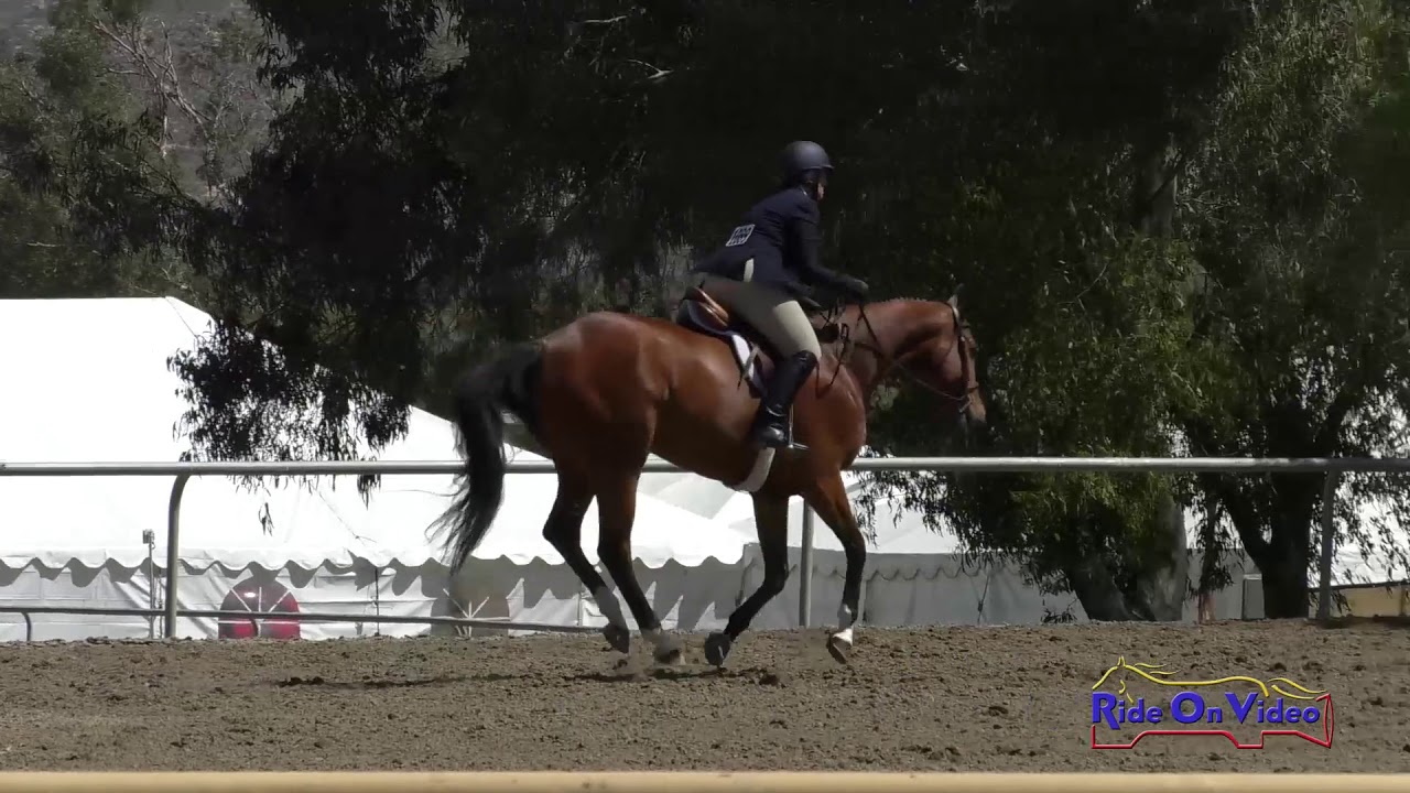 1089 Amy Brubaker on Frascatti 9 Low Hunters 2'6" TVNHS June 2018 - YouTube