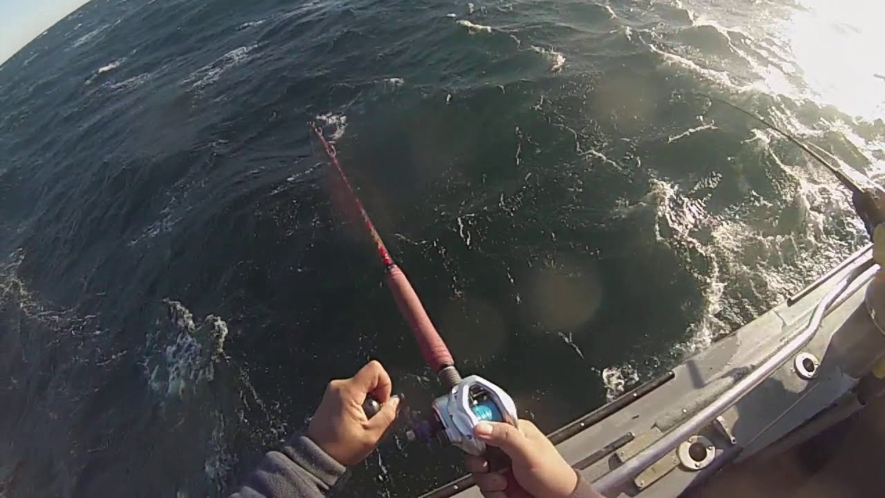 Laura Lee express for Seabass - YouTube