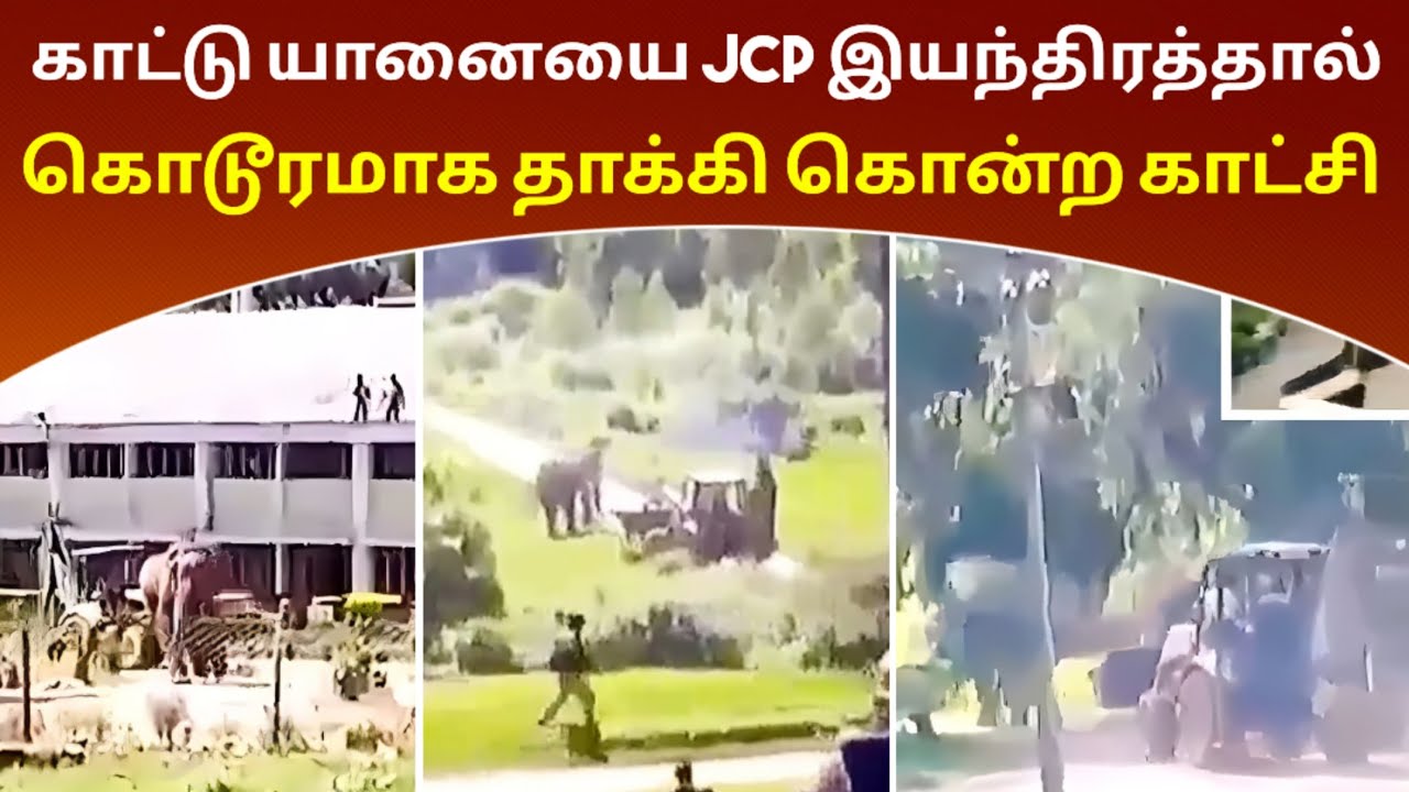 ELEPHANT ATTACKING VIDEO | JCB MACHINE | MUNNAR ELEPHANT | KERALA - YouTube