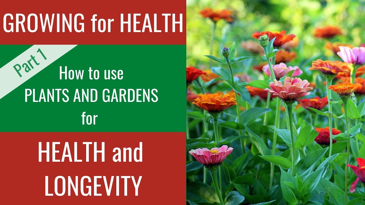 Growing for Health: Part 1 - YouTube