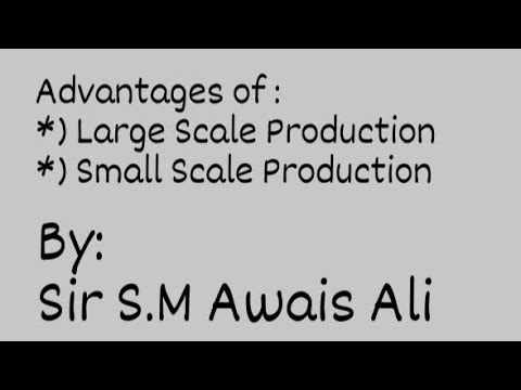 Advantages of Large Scale Production and Small Scale Production| BCOM I ...