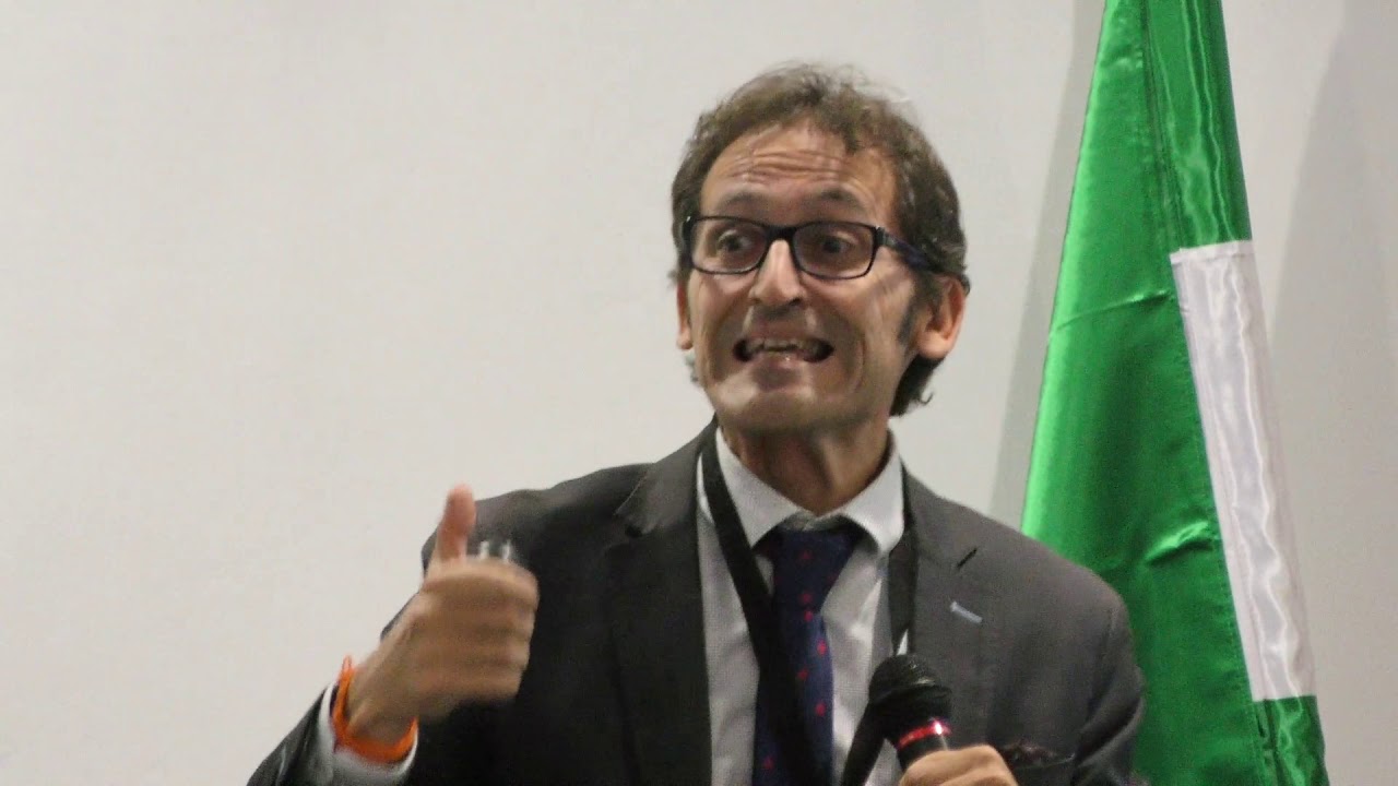 Ponencia de Ricardo Díaz Martín, catedrático de Ingeniería - YouTube