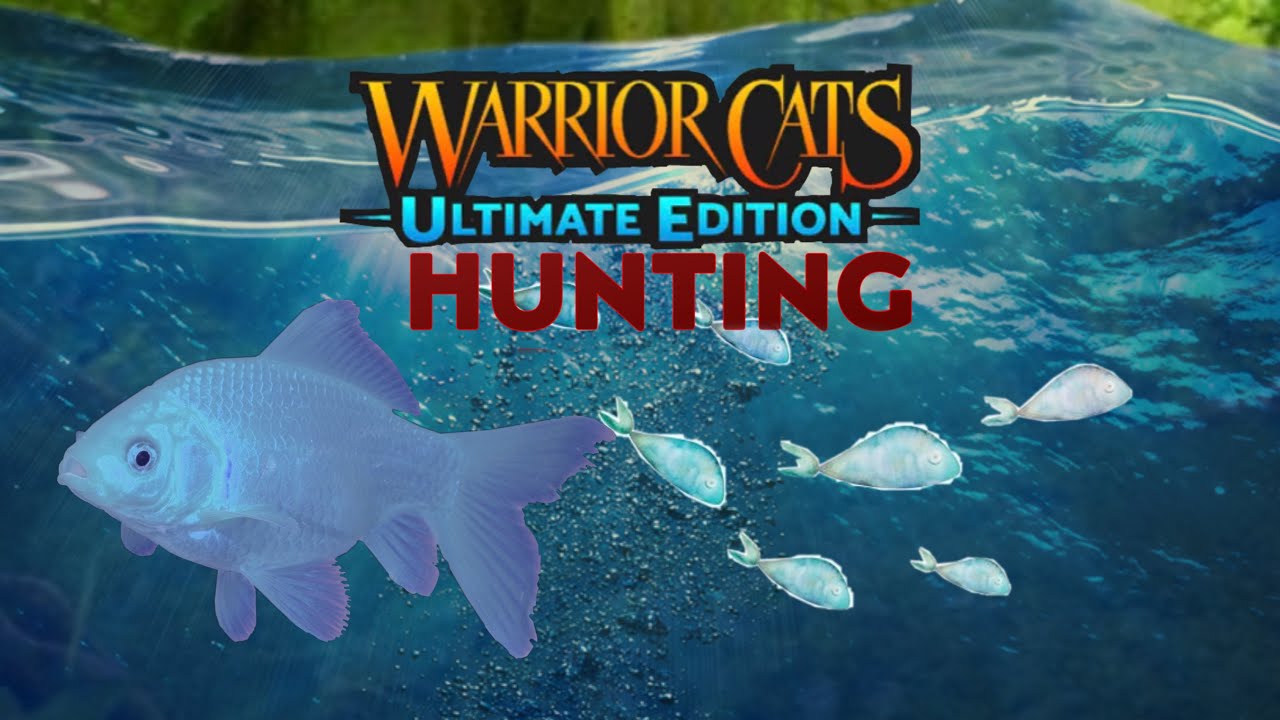 Hunting fish in wcue! - YouTube