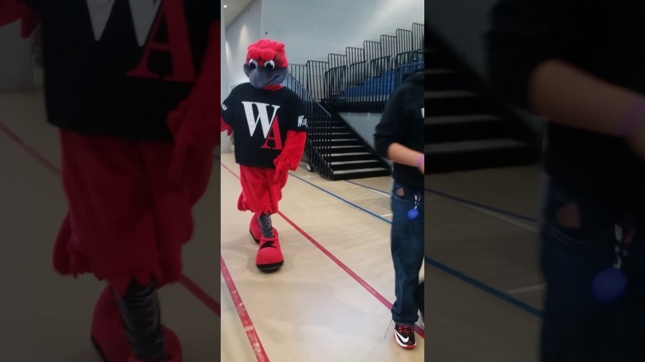 Mascot dancing - YouTube