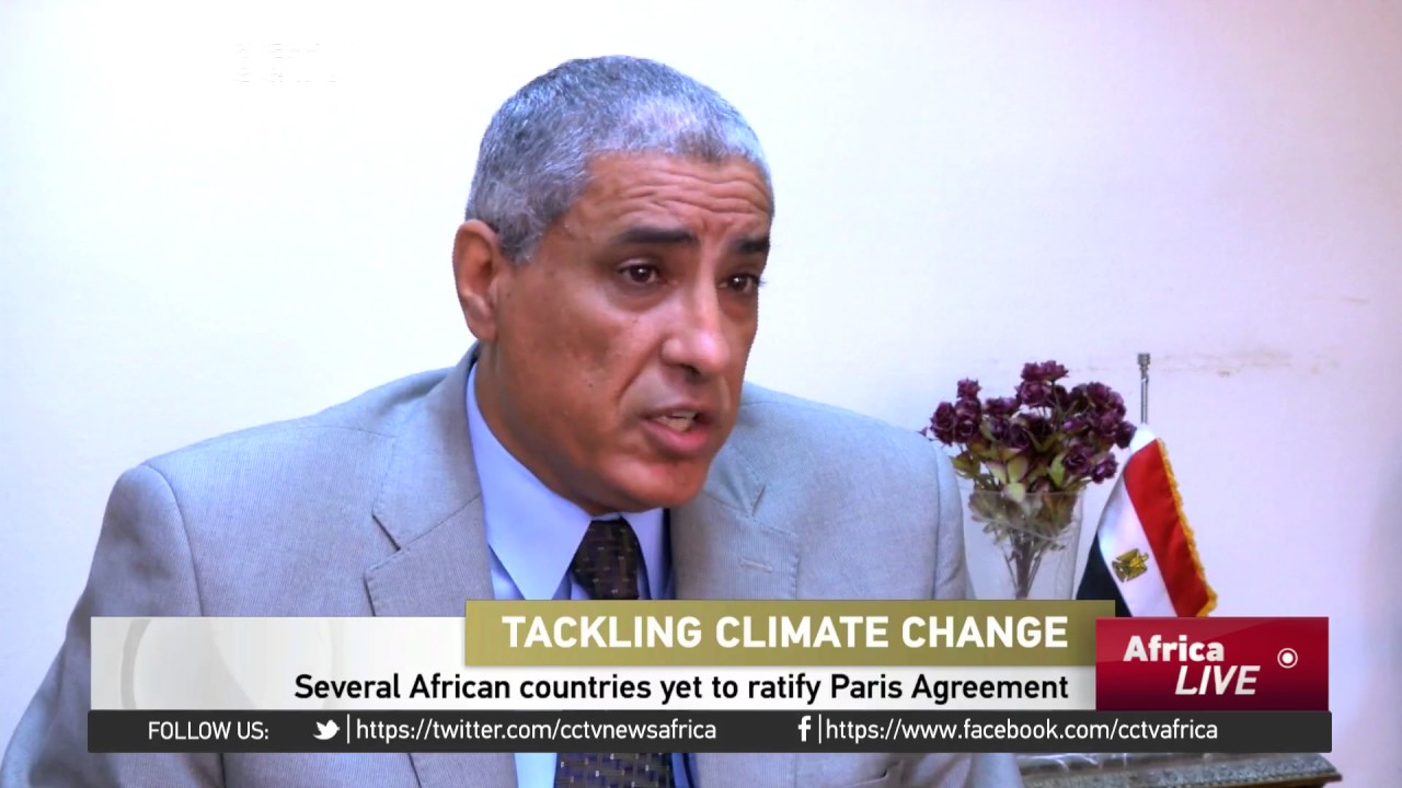 COP 22 Summit important in finding solution to global warming - YouTube