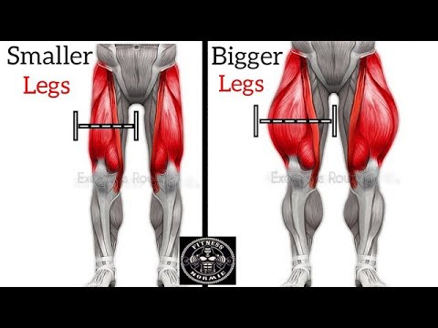 TOP 5 EXERCISE FOR BIGGER LEGS | BEGINNERS | MALE | FITNESS NORMIE ...