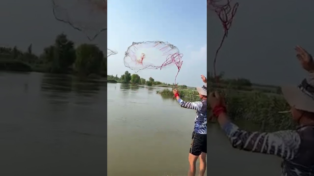 Cast net fishing,Fishing net ,Catch many of fish in the lake, and in ...