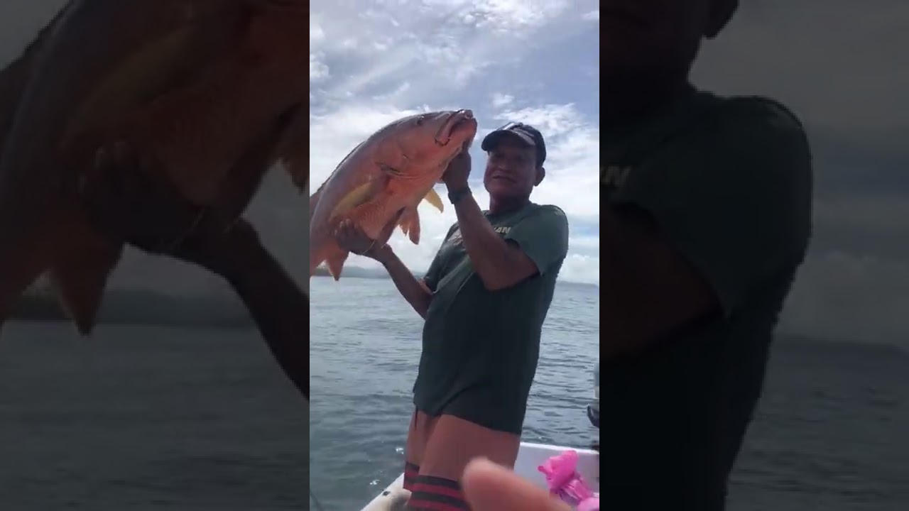 How to catch Cubera Snapper with a Handline Rig - YouTube