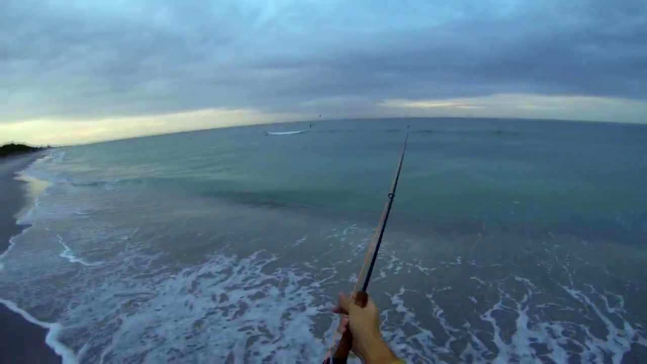 Fly Fishing the Beach! - YouTube