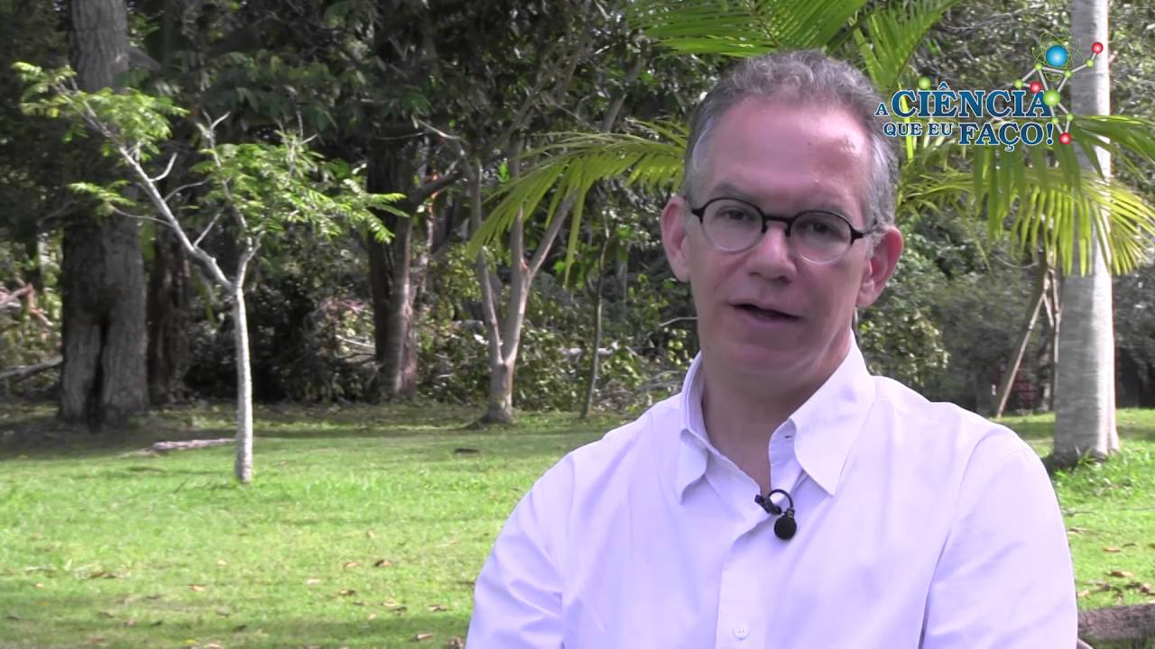 A Ciência que eu Faço - Marcelo Knobel - YouTube