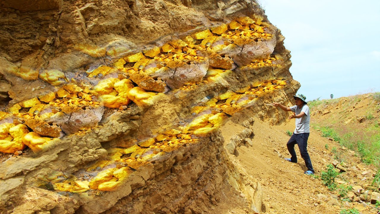 Wow lucky day! Digging up for Treasure worth millions $$ from Huge ...