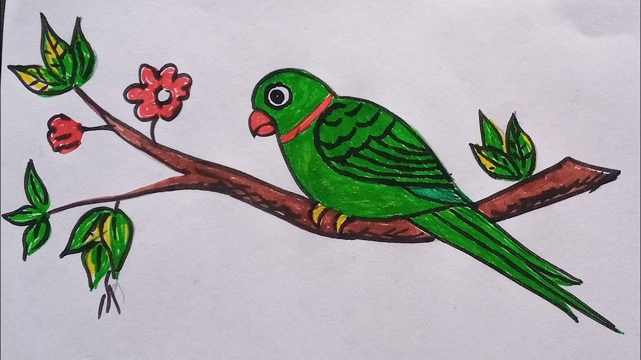 Easy drawing parrot setp by step ।, paroot drawing colour easy,🐦🐦 - YouTube
