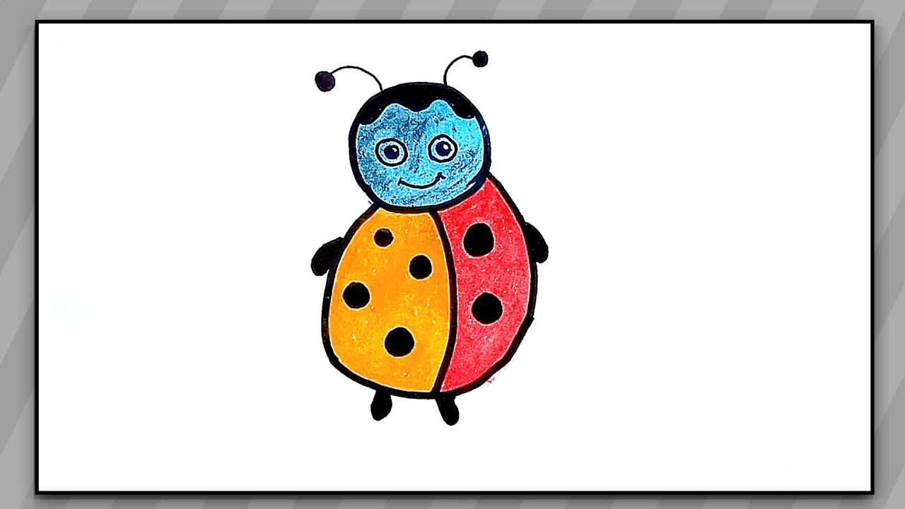 How To Draw A Bug | Insect Drawing For Kids | Bug Insect Drawing - YouTube