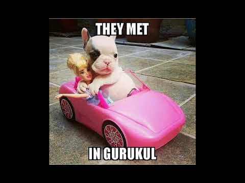 VID#005: Best ISKCON Memes of the Week 9/18/2018 - YouTube