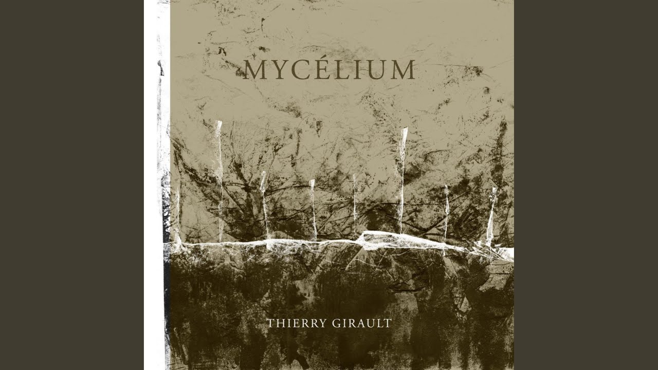 I like mycélium - YouTube