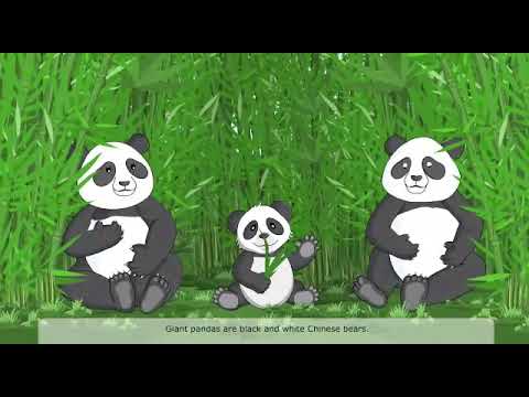 The Giant panda class 3 chapter 4 - YouTube