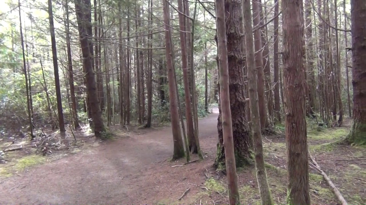 Vancouver Island 2017 (Pt. 21) - Pacific Rim National Park Reserve ...