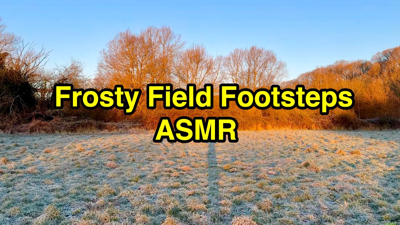 ASMR Sunrise Frozen Footsteps - YouTube