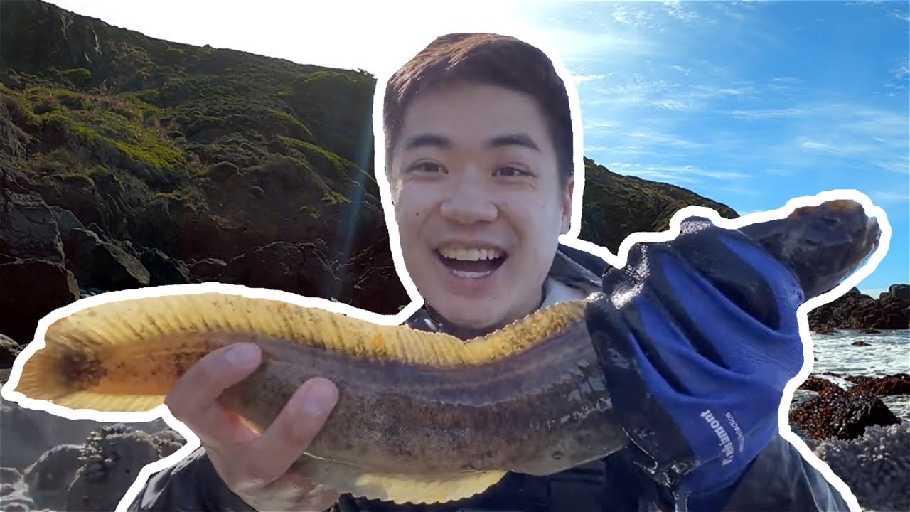 Poke poling for ROCKFISH, EELS and CRABS at Muir Beach! - YouTube
