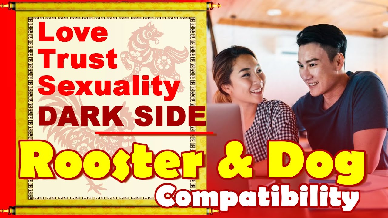Rooster and Dog Compatibility in Love, Life, Trust, Intimacy | Rooster and Dog Zodiac Compatibility