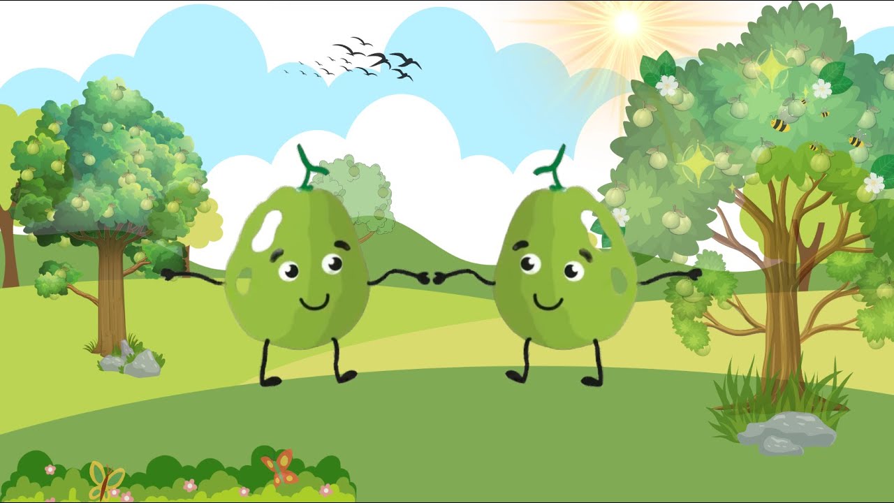 Guava Groove | Fruits Song | Bài Hát Quả Ổi - YouTube