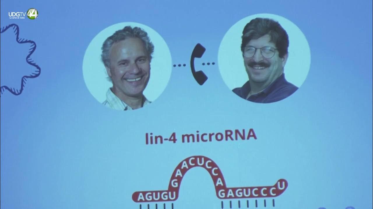 Dos estadounidenses ganan el Nobel de Medicina por los avances en la regulación de los genes ...