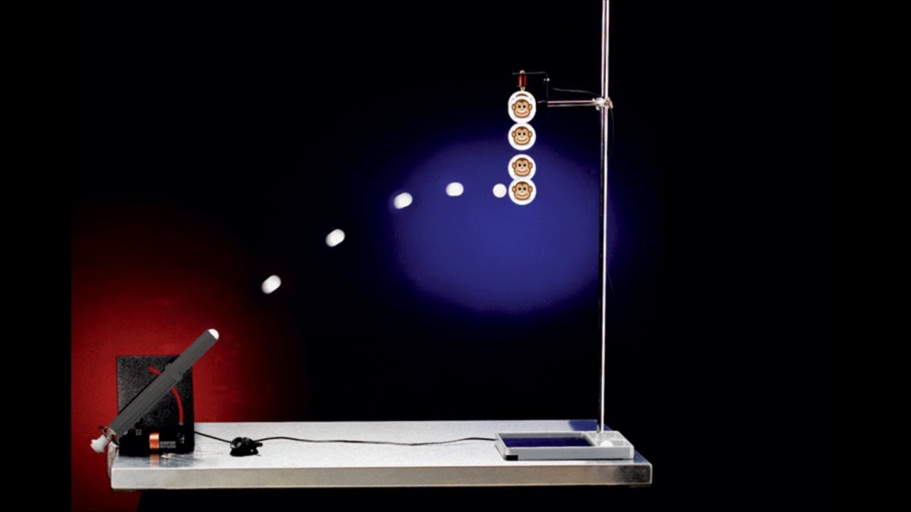 The Monkey and Hunter Demo | Arbor Scientific - YouTube