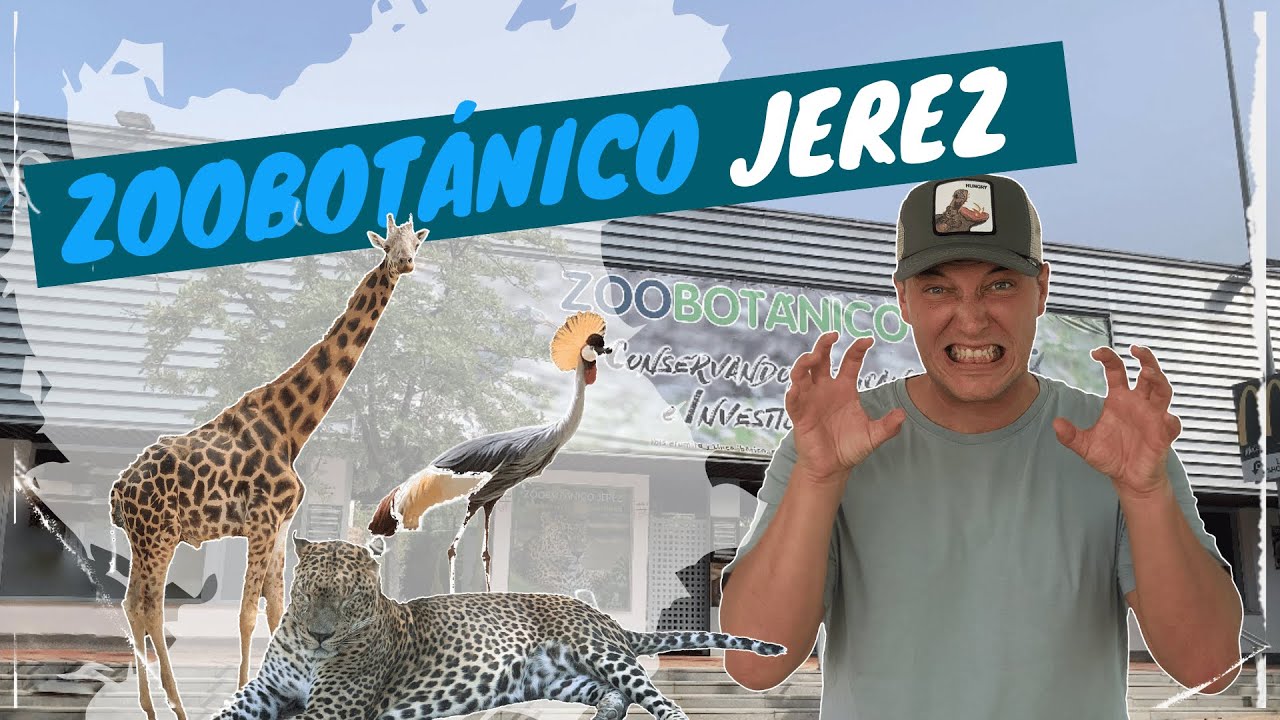 LAUTER WILDE TIERE IM ZOO JEREZ DE LA FRONTERA - ANDALUSIEN - SPANIEN ...