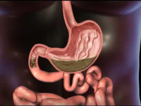 Carbohydrate digestion 3D animation - YouTube