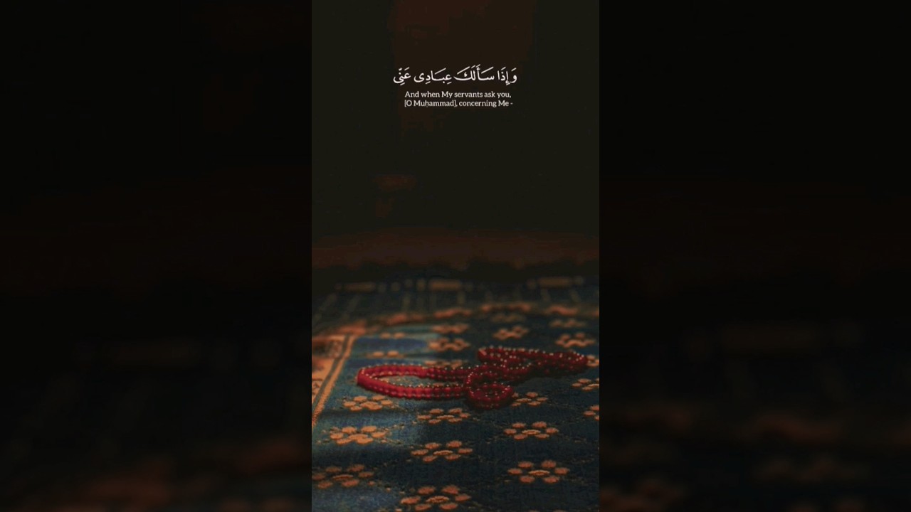 quran vibes #quranicvibes #quranrecitation #quranqoutes #islamicprayer ...