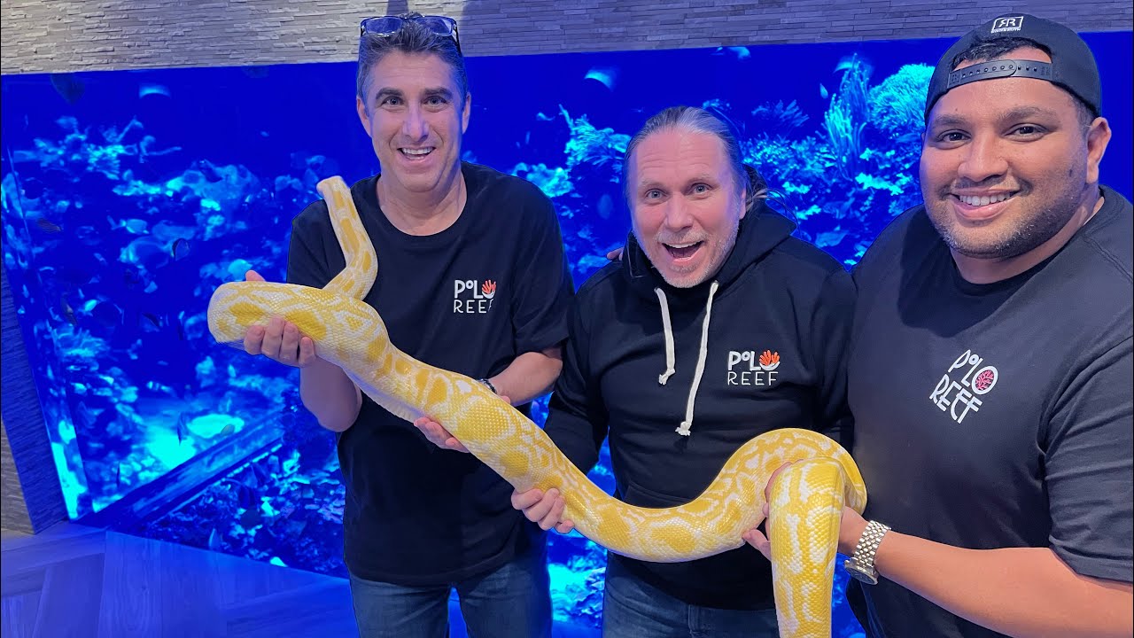 Brian Barczyk Brings Huge Snake To Polo Reef! - YouTube